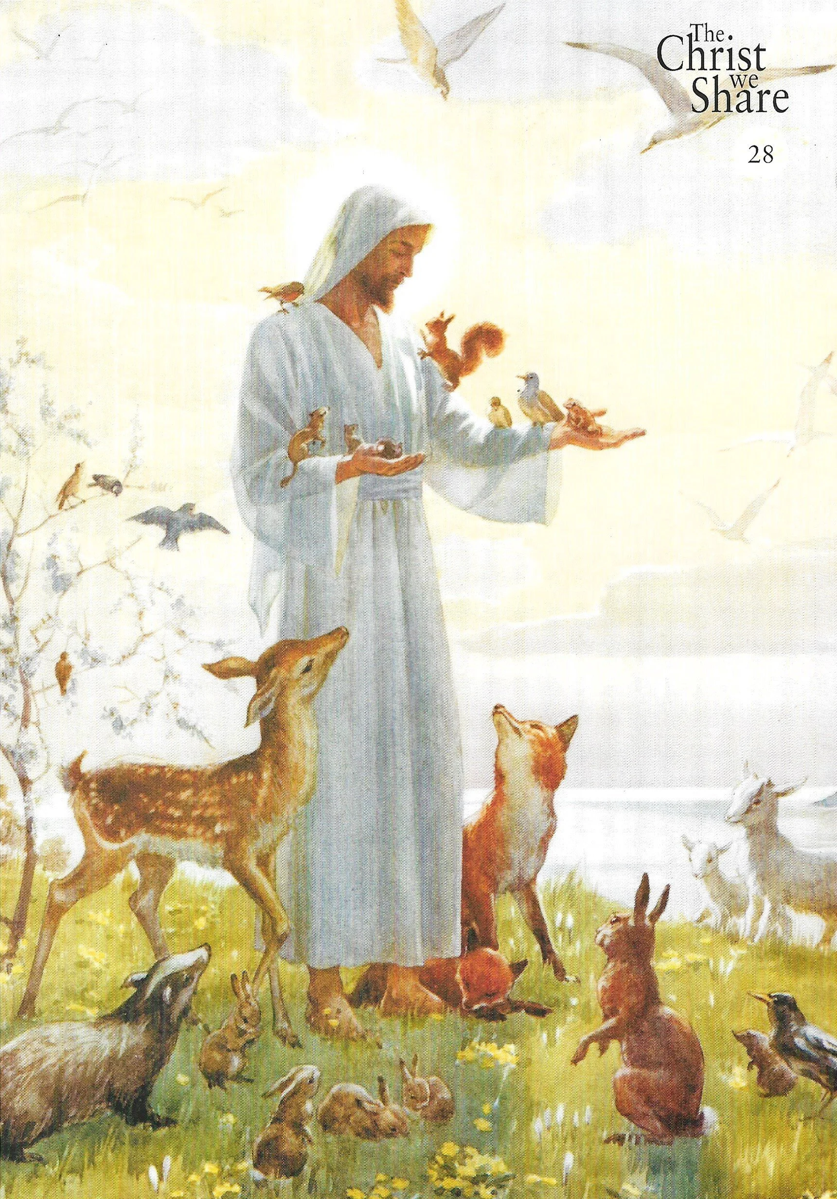 The Christ We Share — kelvinburke