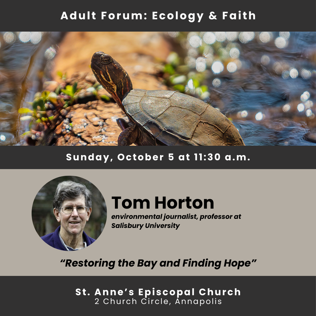 Adult Forum: Ecology & Faith — St. Anne's Episcopal Church