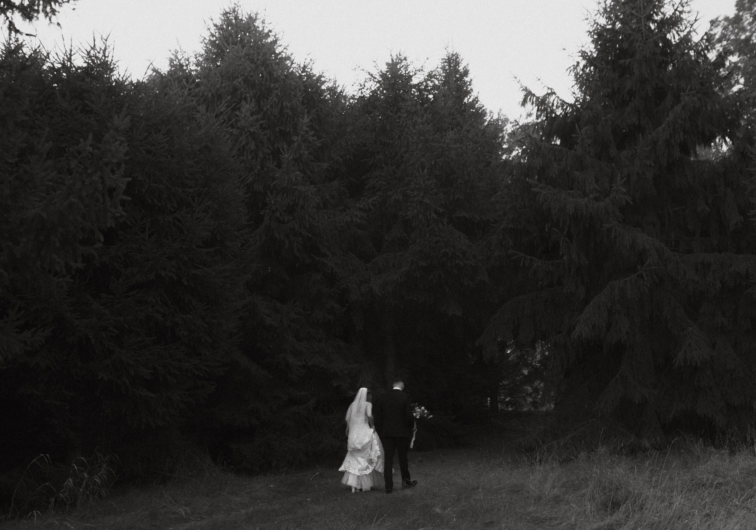 AMBER PRESETS - Nathan Chanski