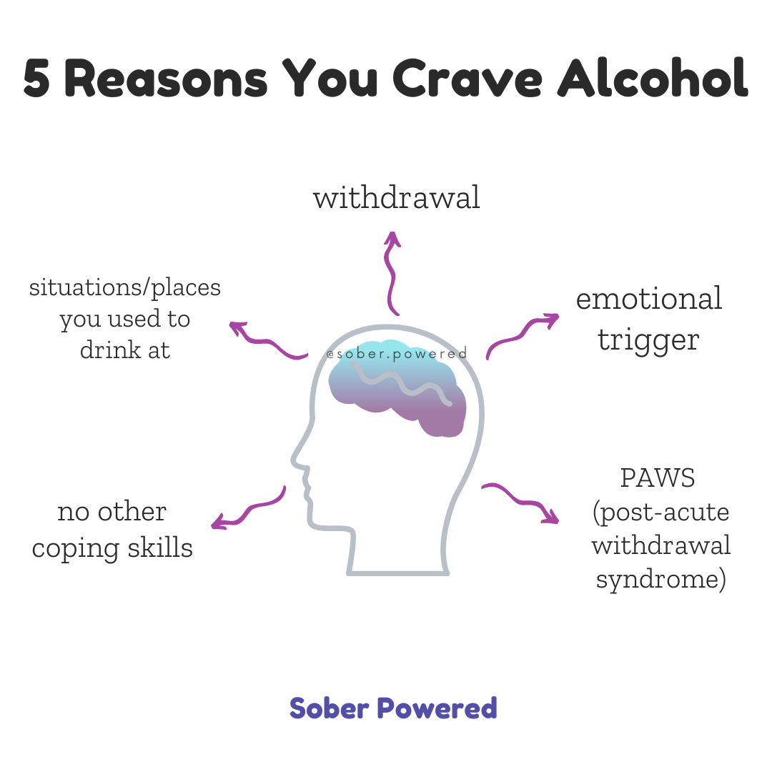 5 Reasons You Crave Alcohol — Sober Powered