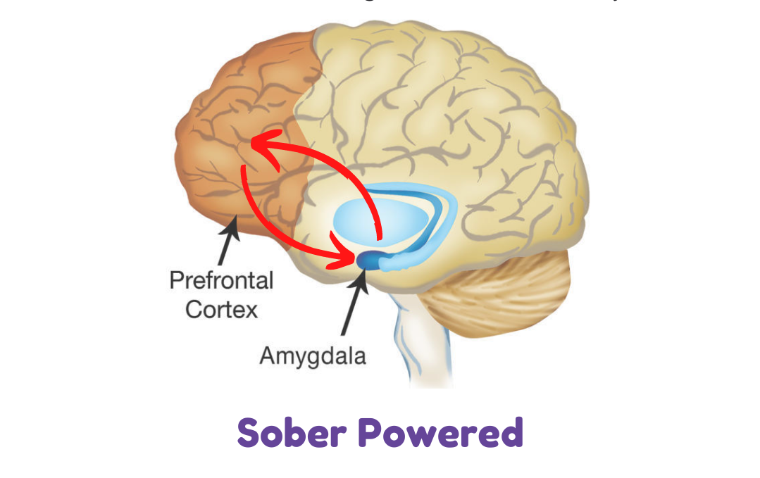 What Happens in the Brain When We Are Overwhelmed (The Amygdala Hijack ...