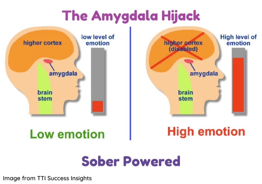 What Happens in the Brain When We Are Overwhelmed (The Amygdala Hijack) — Sober Powered