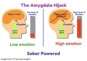 What Happens in the Brain When We Are Overwhelmed (The Amygdala Hijack ...