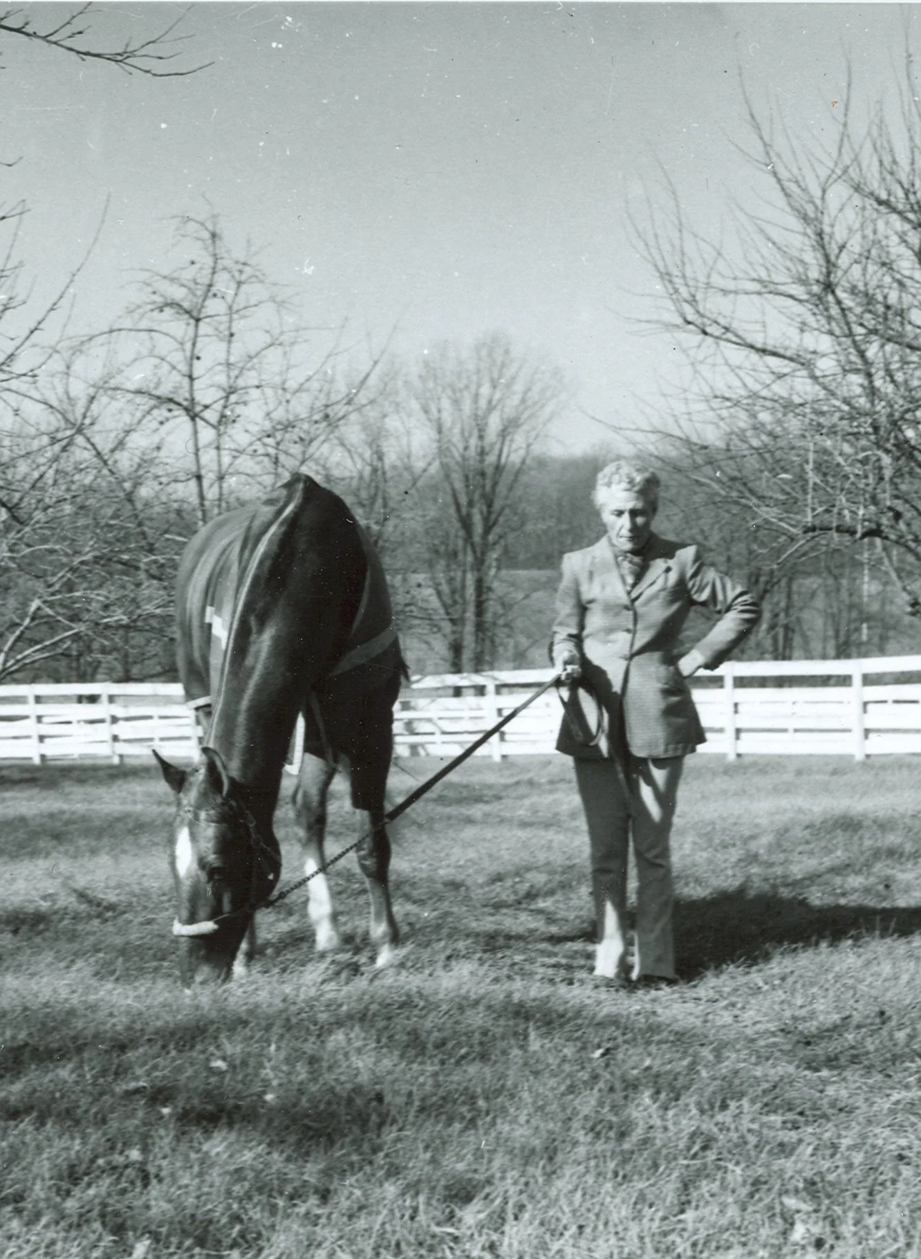 The Foellinger Family Interests — Foellinger Foundation