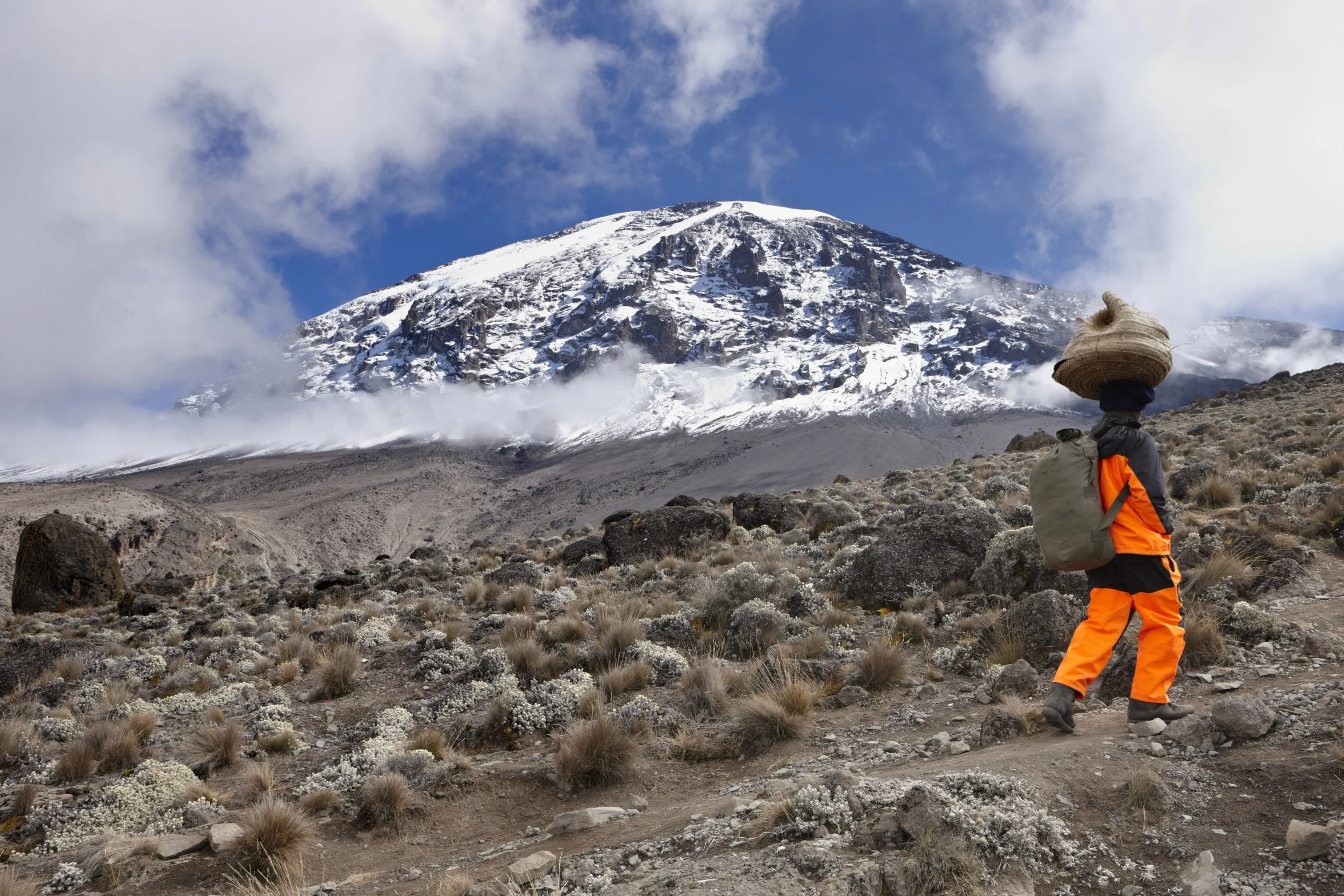 Blog — Alika Africa Duma Explorer