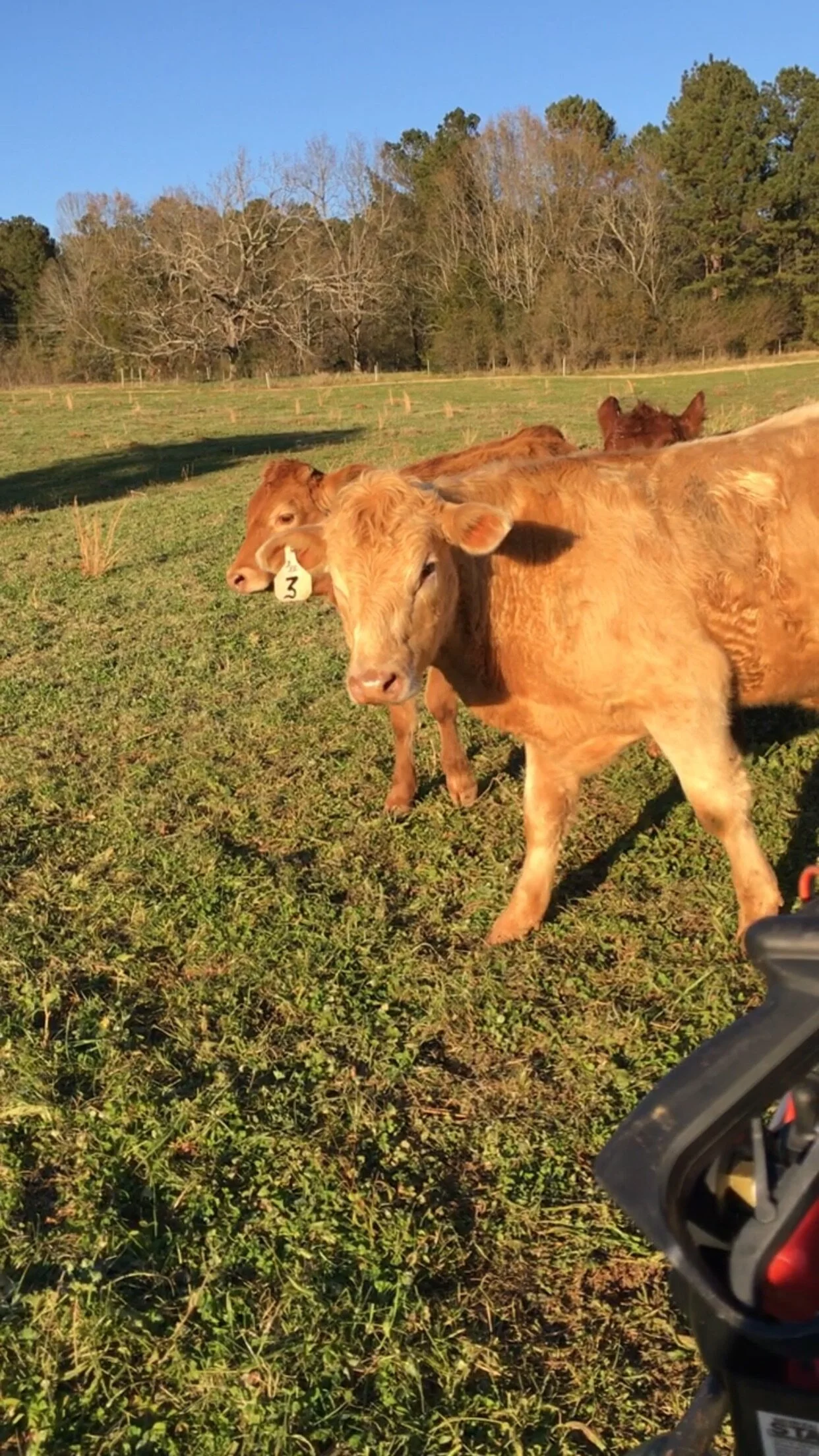 The Rural Urban Connection