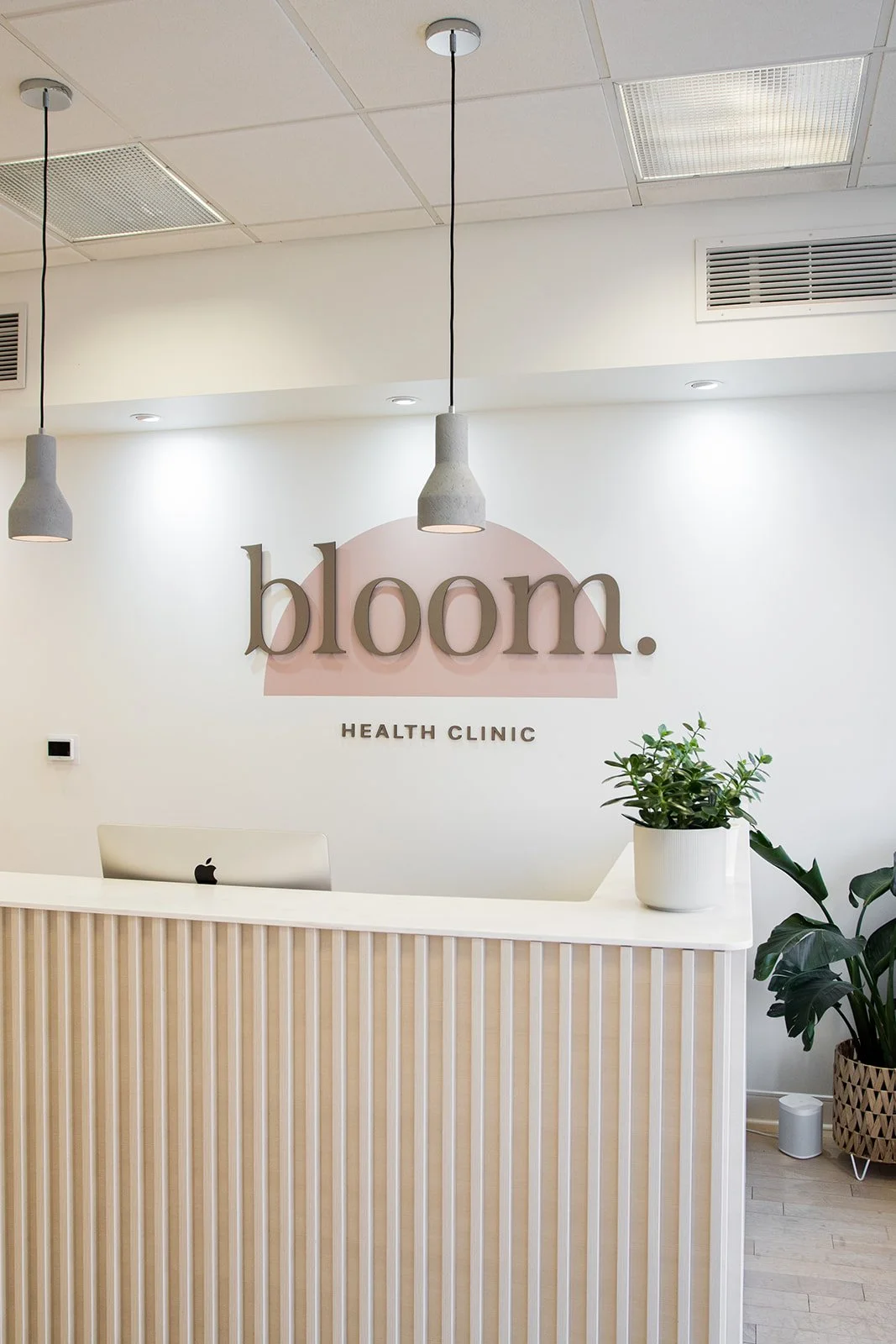 Gallery 1 — bloom.