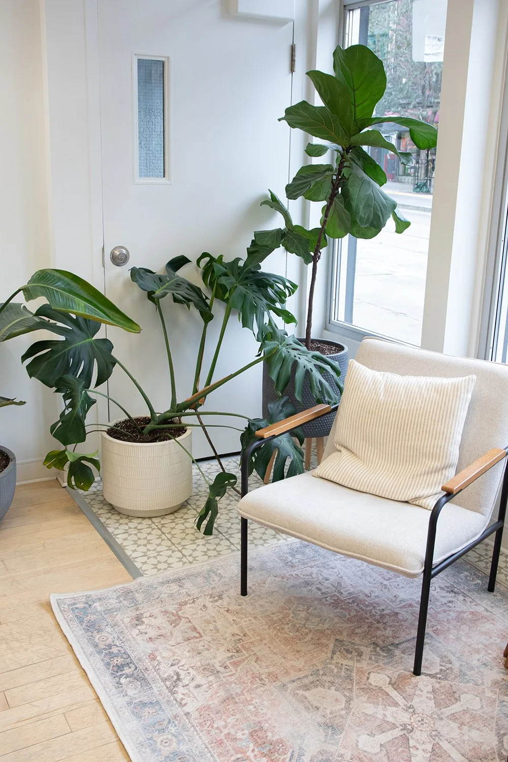 Gallery 1 — bloom.