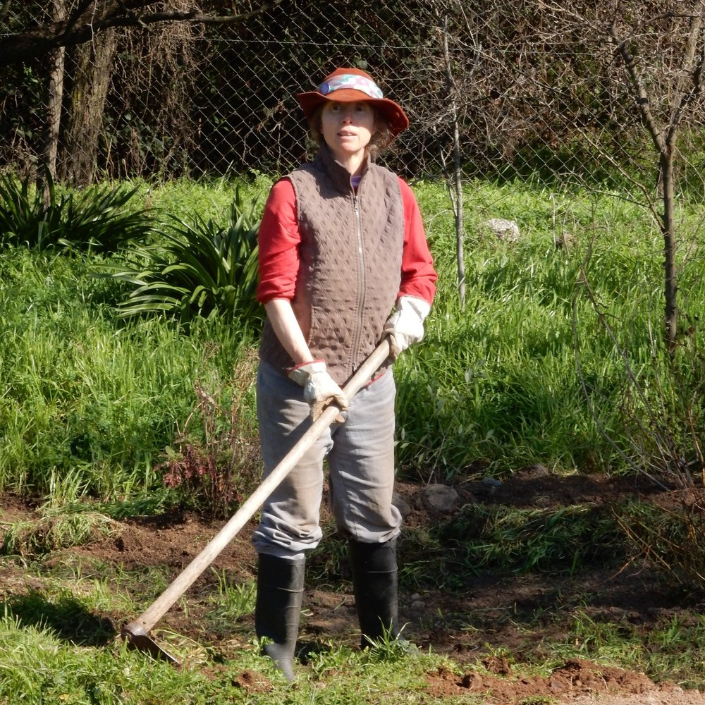 KOSS Team — Klamath Outdoor Science School