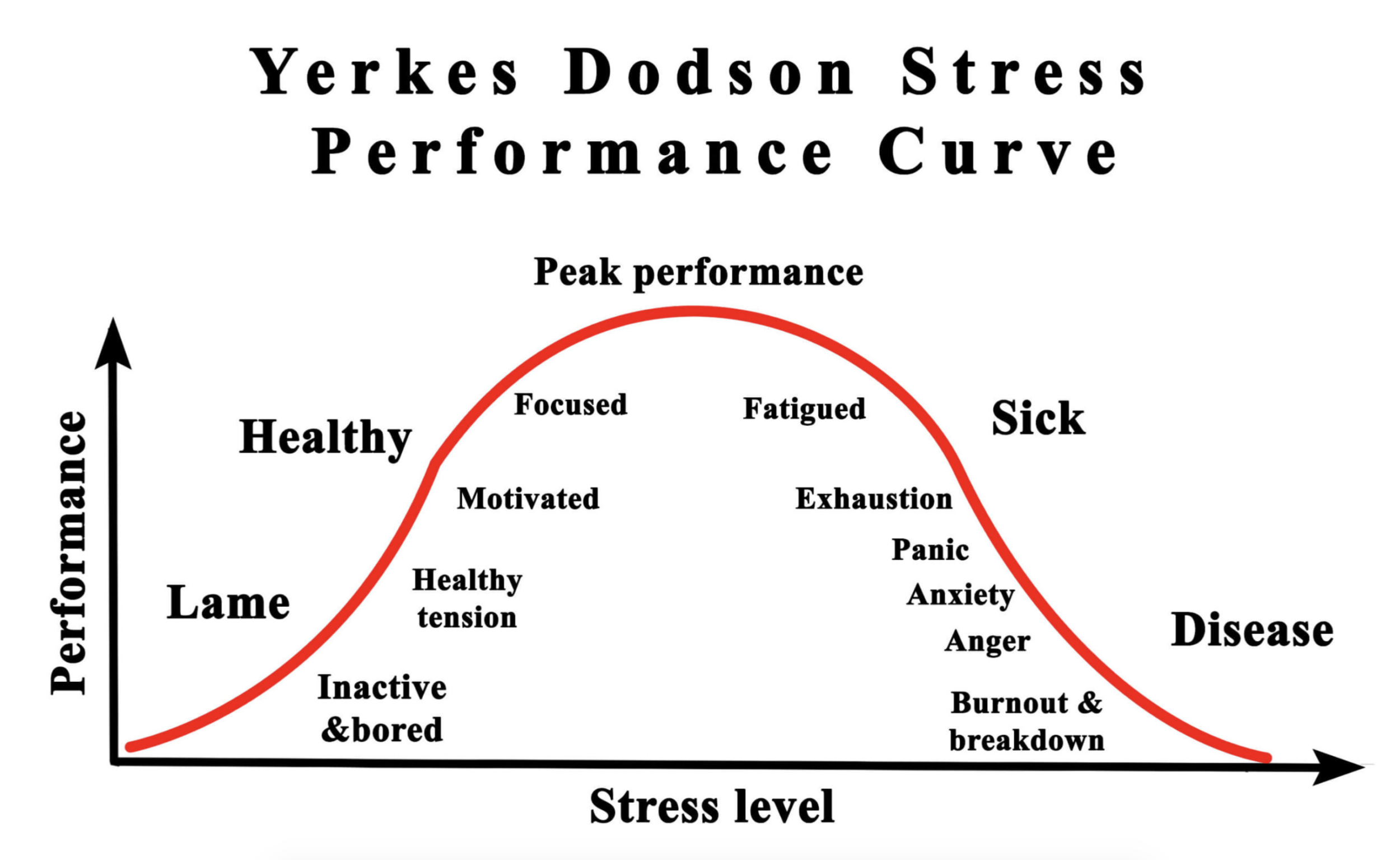 evolve and grow wellness