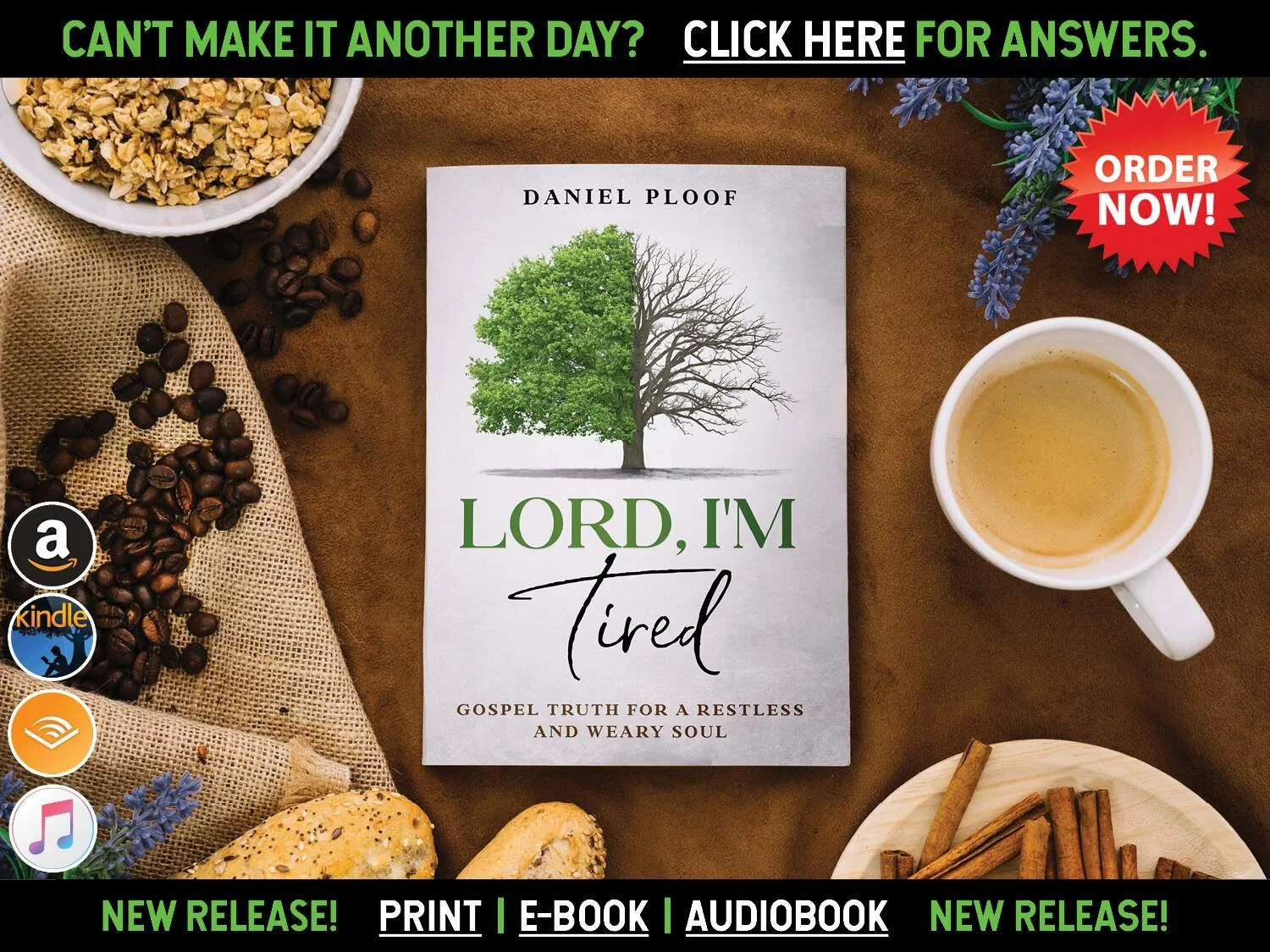 Isaiah 40:31 - MESSAGE | MEANING | REFLECTION — Daniel Ploof