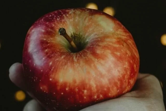 Genesis 3:7 - MESSAGE | MEANING | REFLECTION — Daniel Ploof