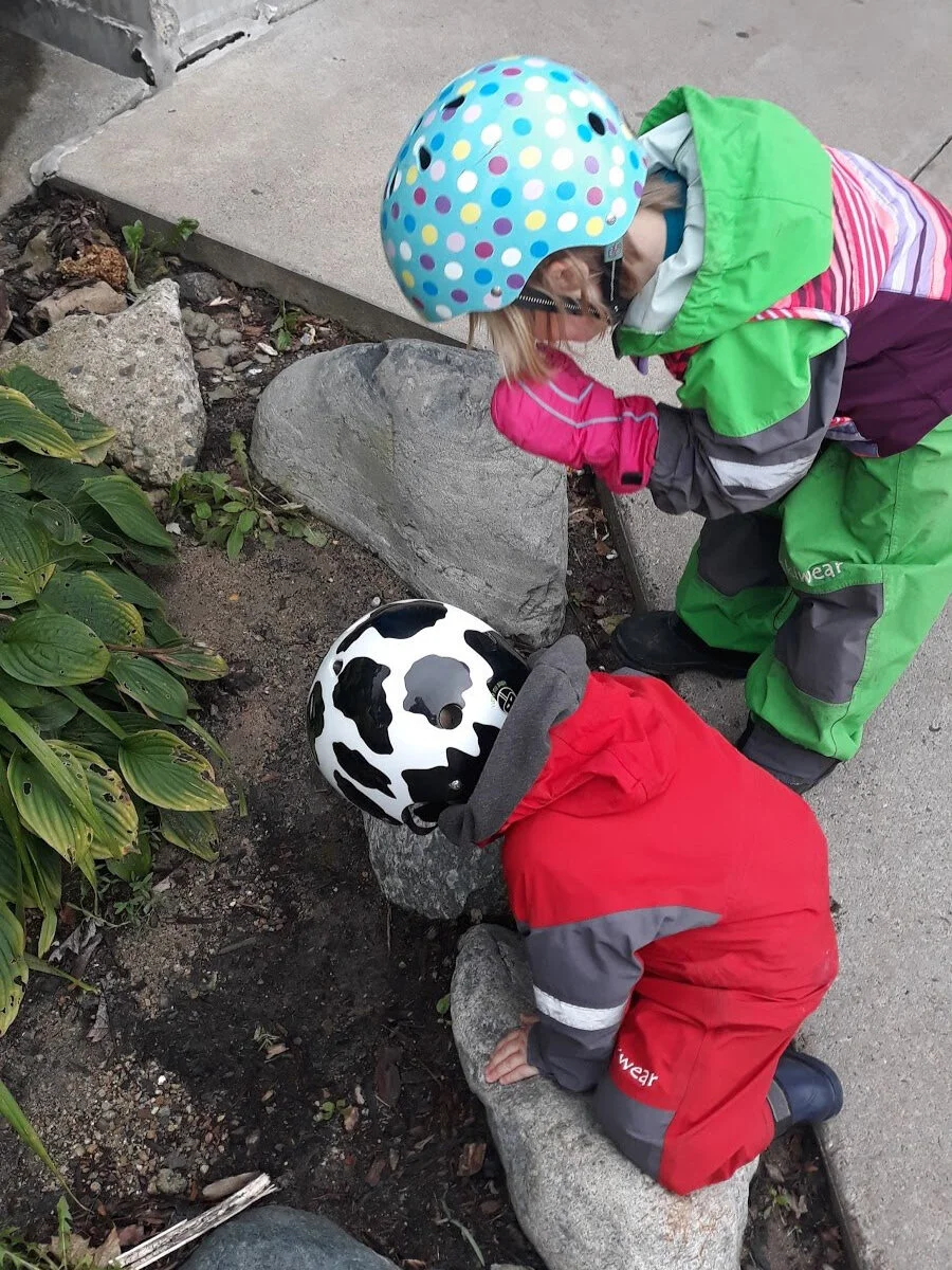 Playing in a Patch of Dirt — Free Forest School