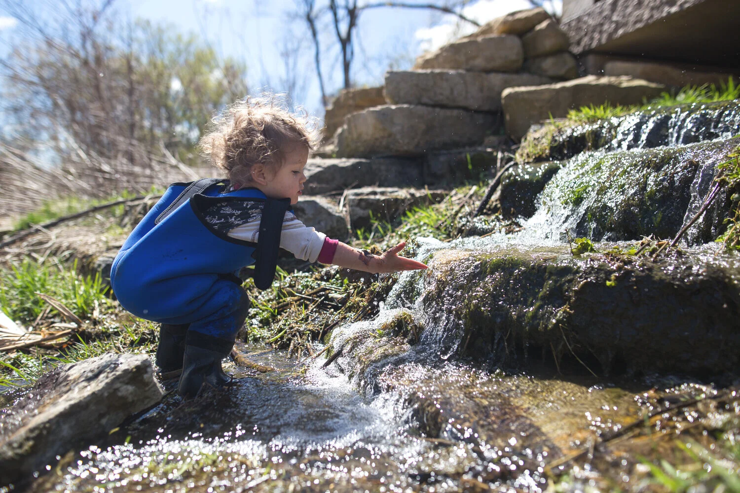 Free Forest School