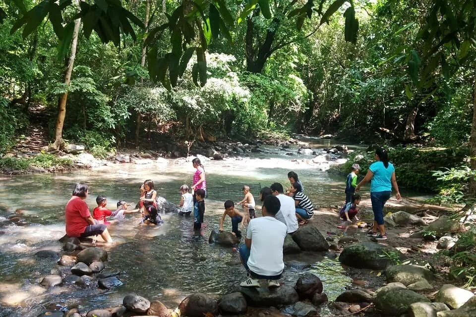 Outdoor Play and Forest School Learning — Free Forest School