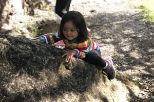 Outdoor Play and Forest School Learning — Free Forest School