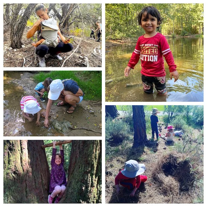 Emergent Learning — Free Forest School