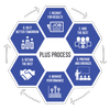 PLUS PROCESS — Security Pro
