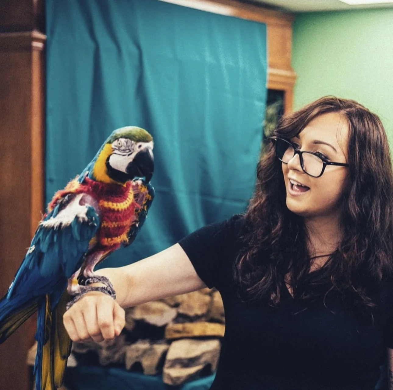 About Us | Explore Reptile Care - Get Started Today — Celestial Exotics