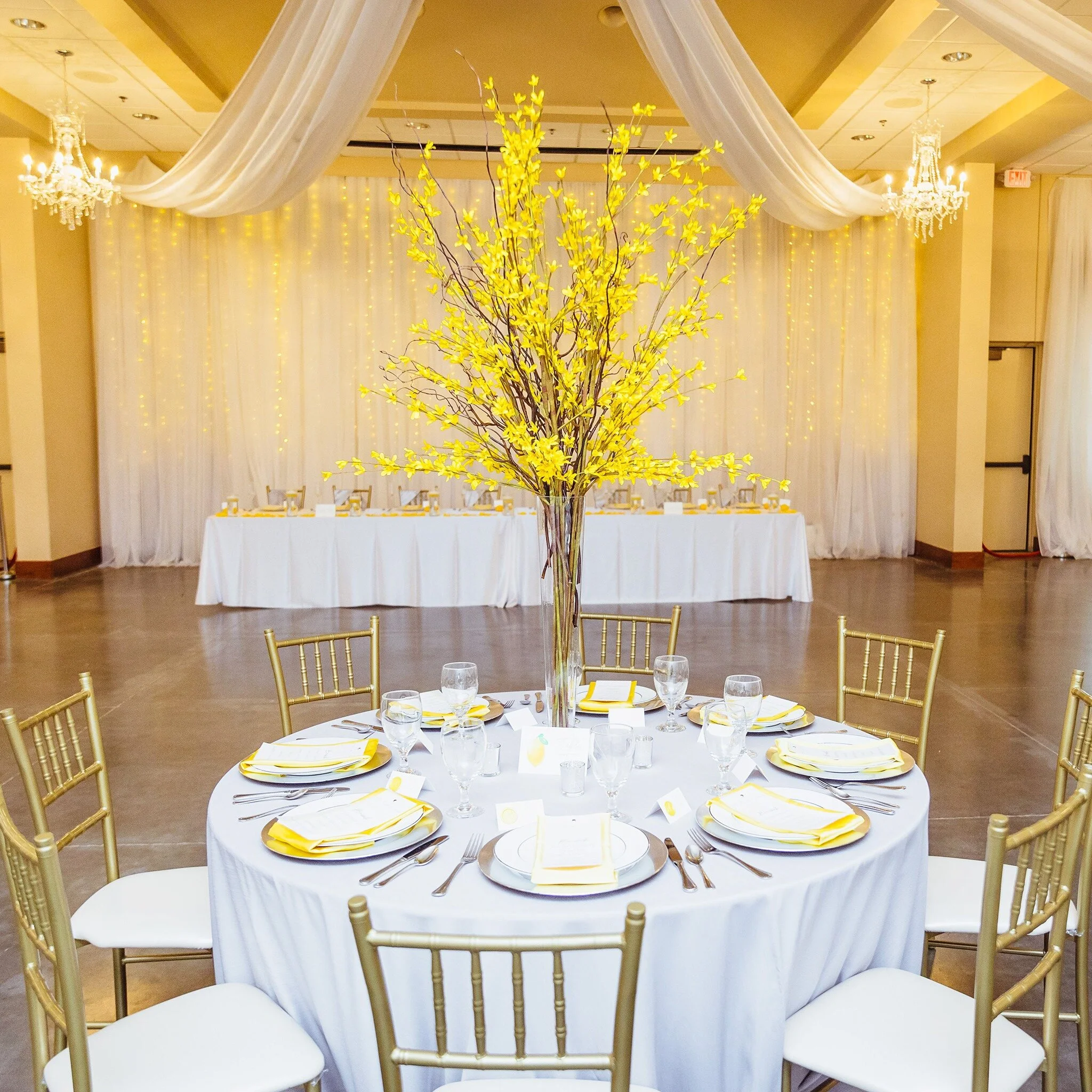 The Garden Room | Best Bohemian Wedding Venue in Downtown Omaha ...
