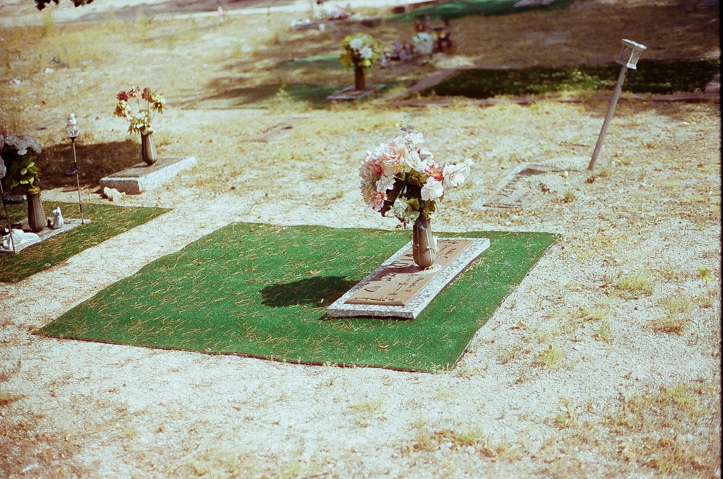 Sunday Spotlight: Ana Angilau — Too Tired Project