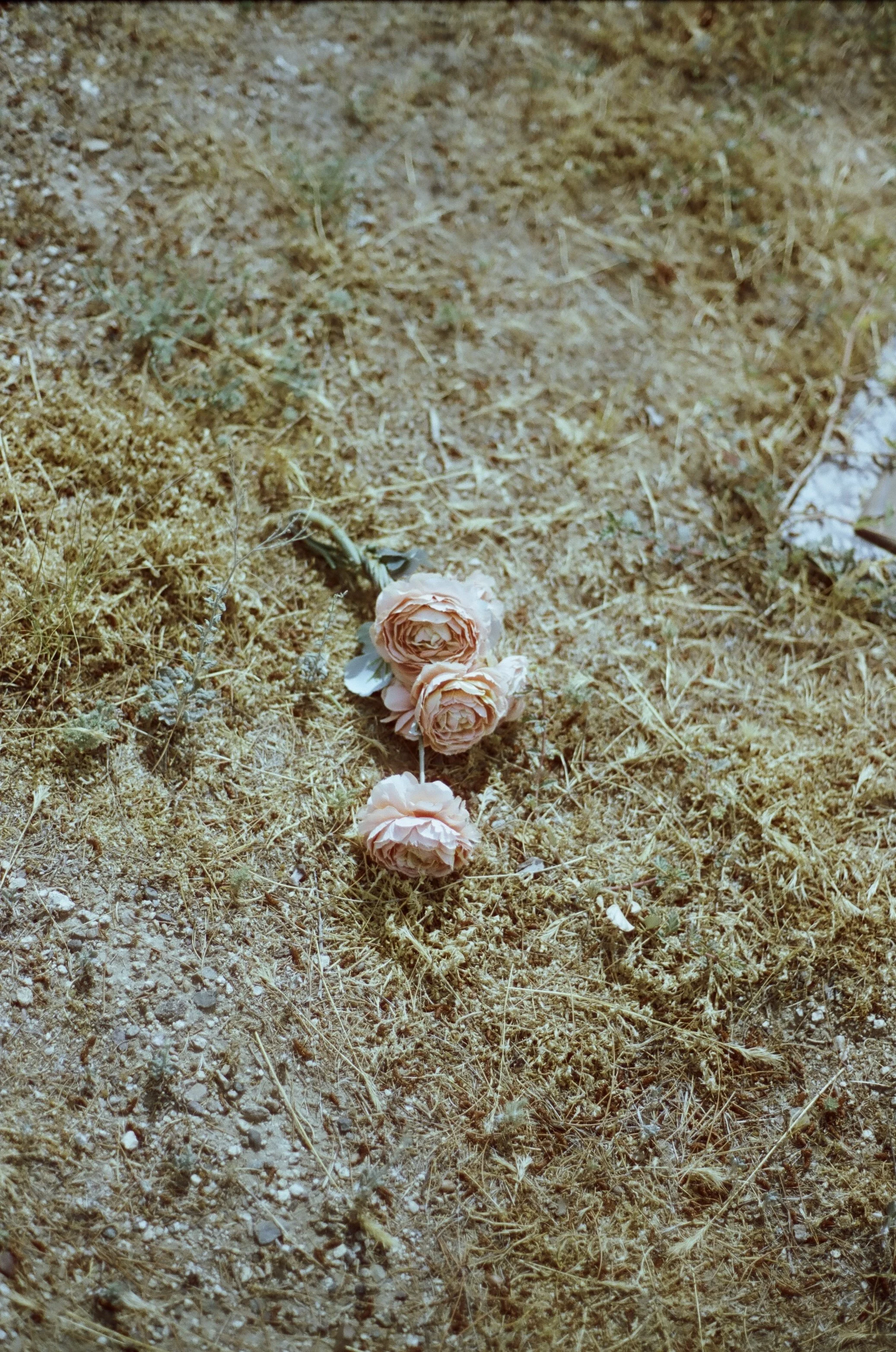 Sunday Spotlight: Ana Angilau — Too Tired Project