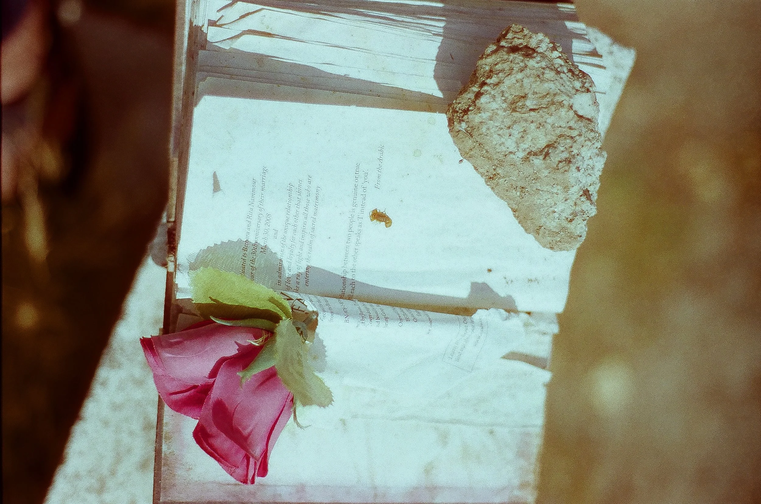 Sunday Spotlight: Ana Angilau — Too Tired Project