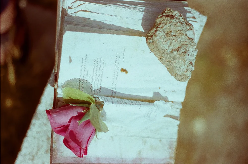 Sunday Spotlight: Ana Angilau — Too Tired Project
