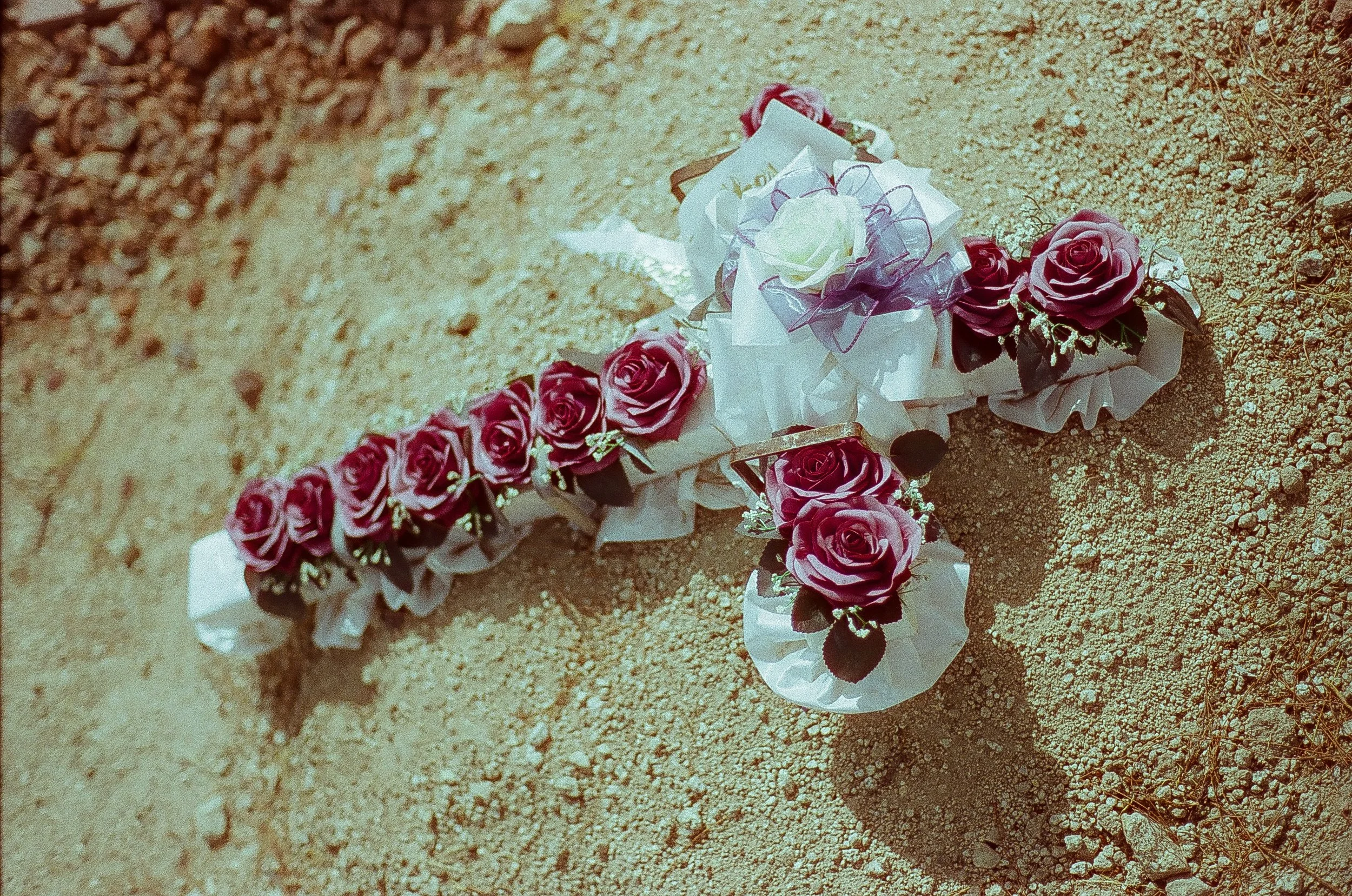 Sunday Spotlight: Ana Angilau — Too Tired Project