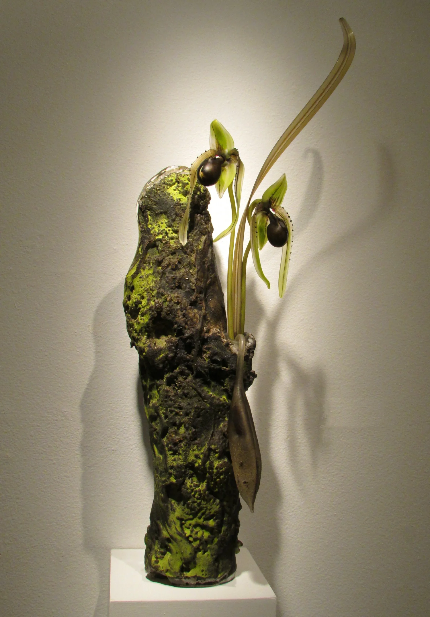 Debora Moore: Paphiopedilum — Museum of Northwest Art