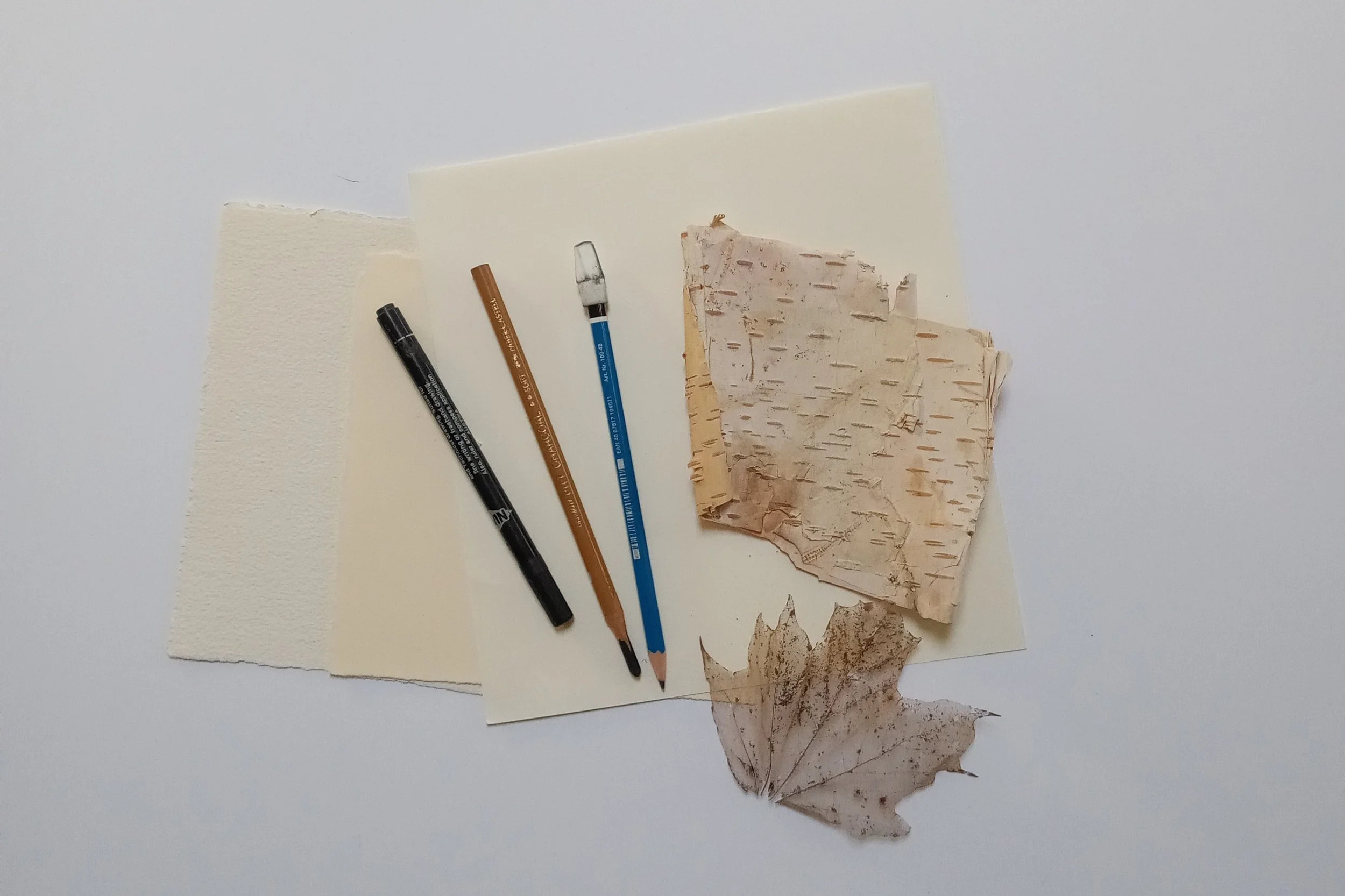 Workshop: Drawing Exploratory (Class by Margaret Davidson) — Museum of ...