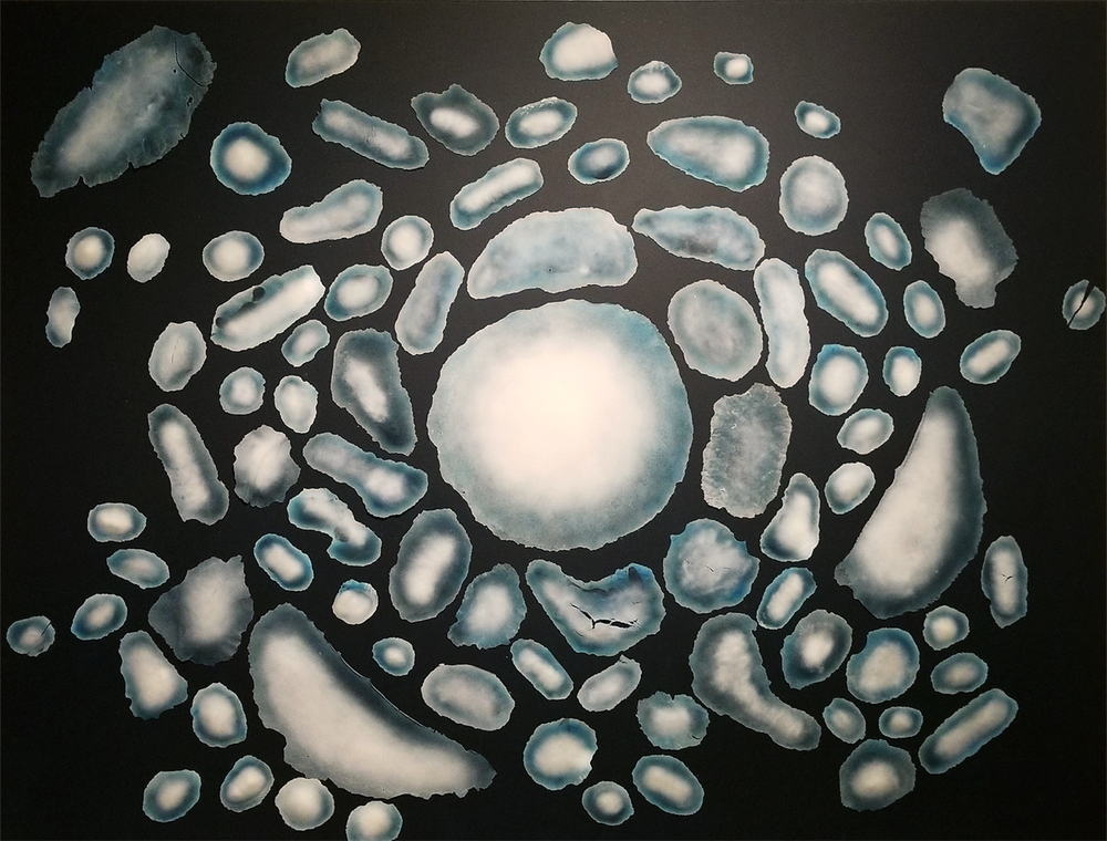 A Conversation With Artists Meg Holgate And Steve Klein — Museum Of Northwest Art