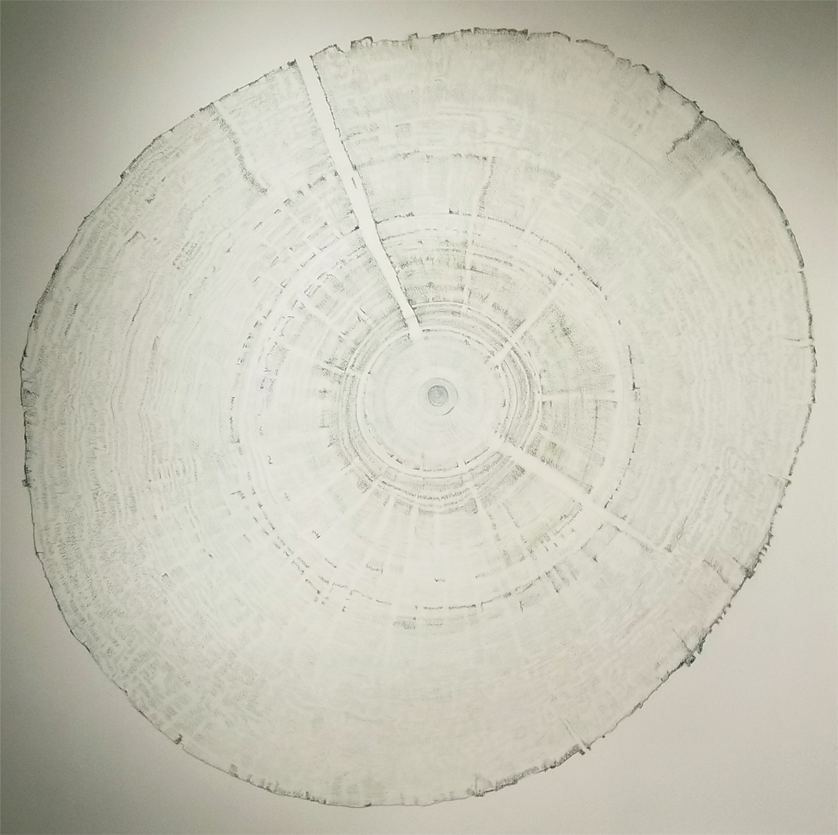 A Conversation With Artists Meg Holgate And Steve Klein — Museum Of Northwest Art