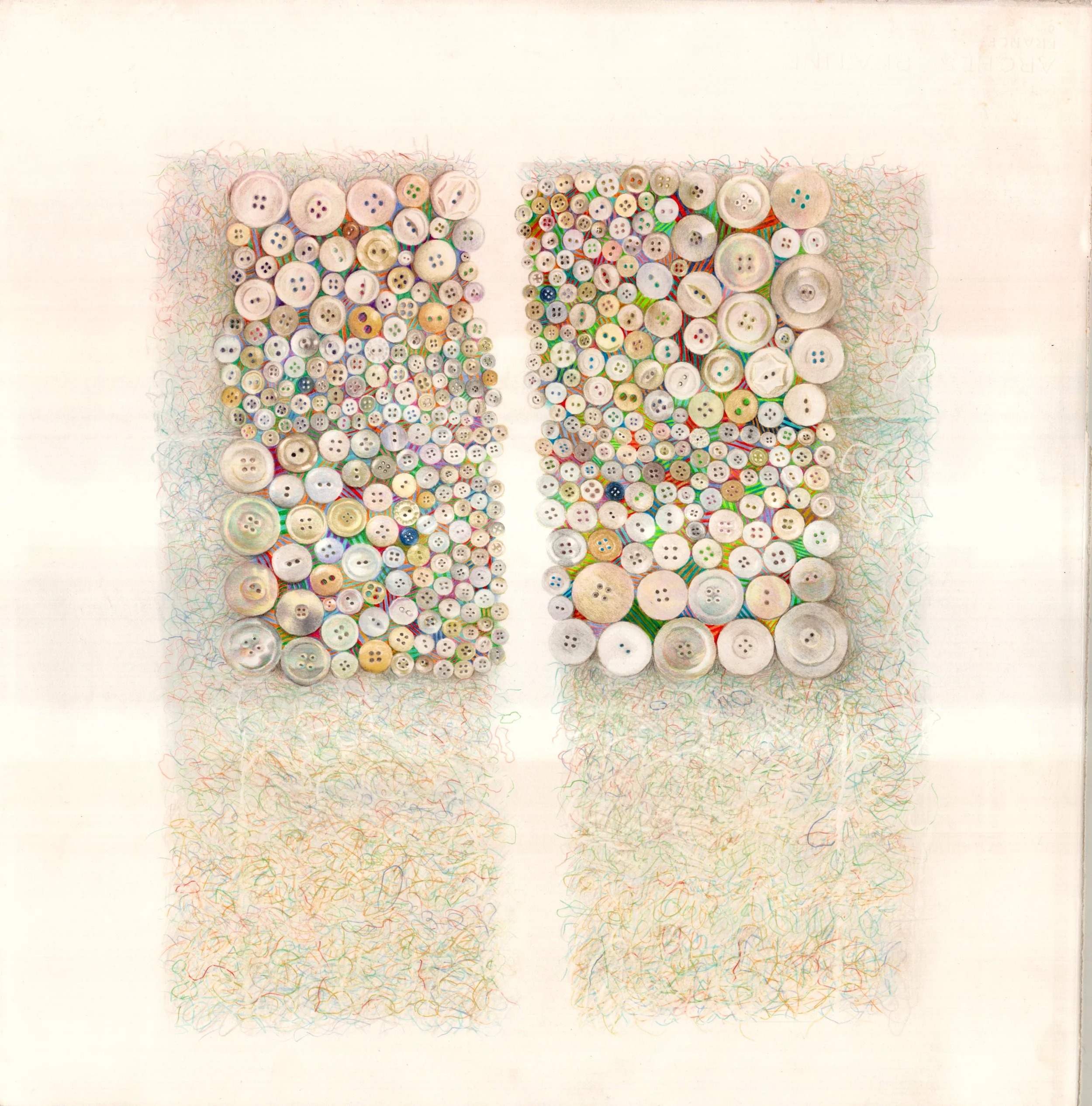 Margaret Davidson: Leading with Drawing — Museum of Northwest Art