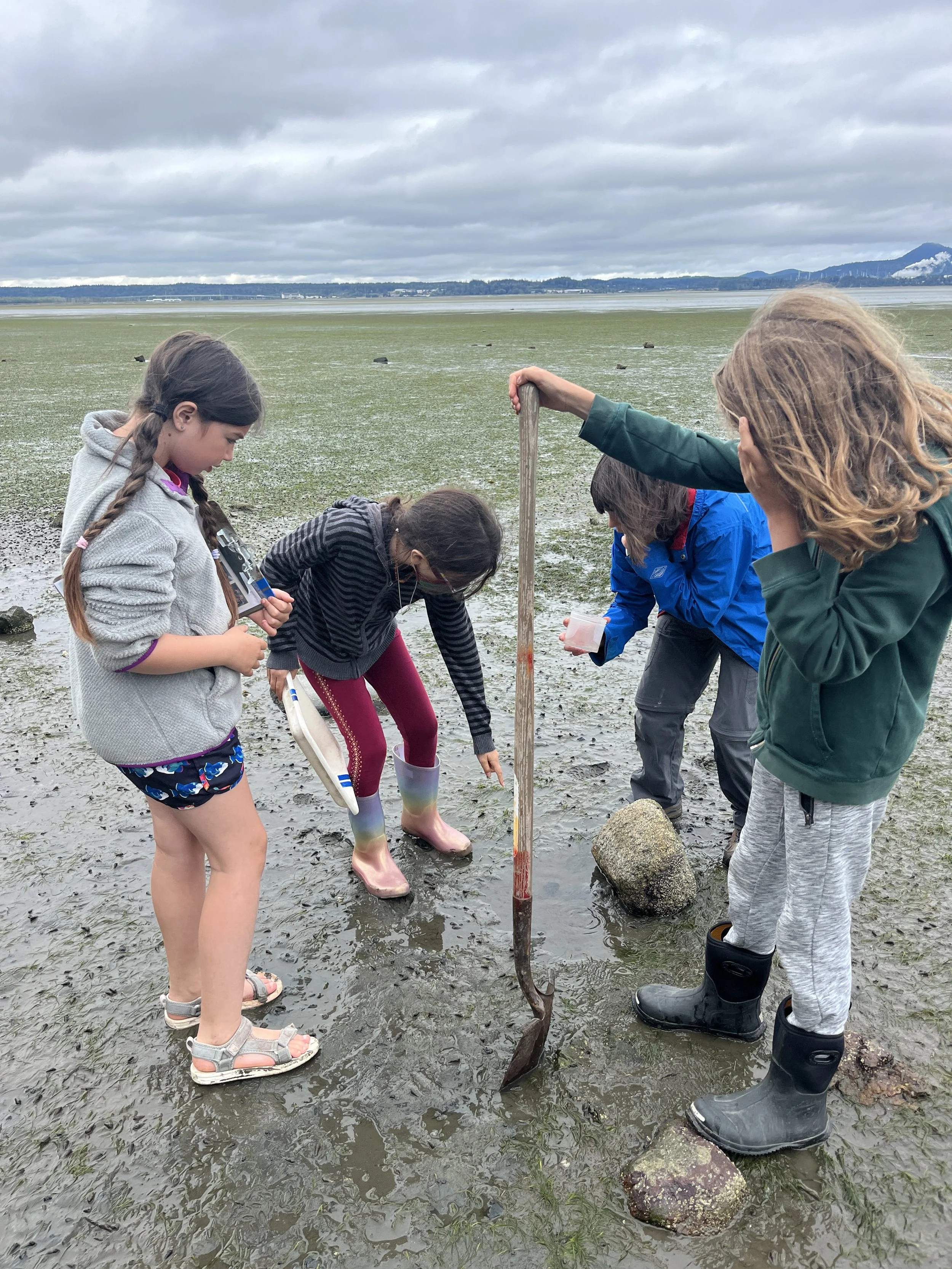 Art & Science Camp — Museum of Northwest Art