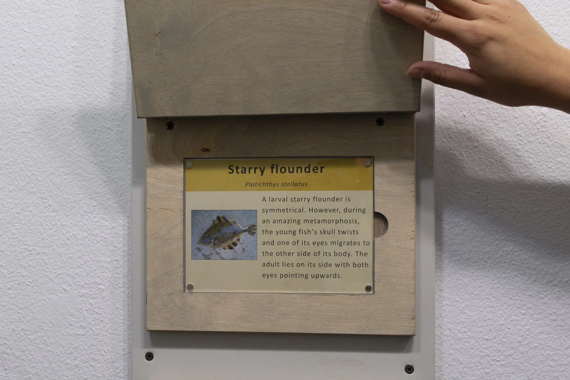 Outside In — Museum of Northwest Art