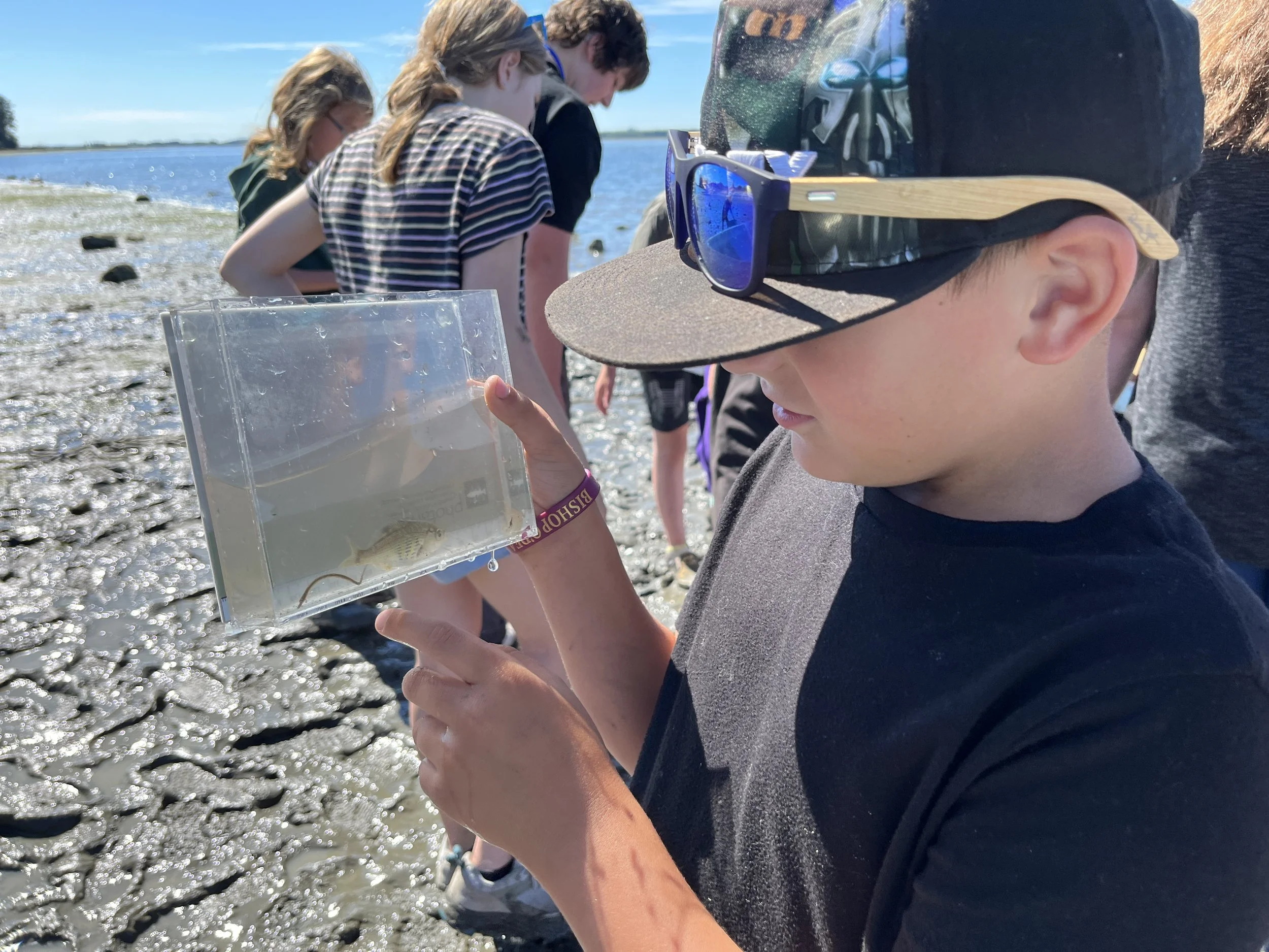 Art & Science Camp — Museum of Northwest Art