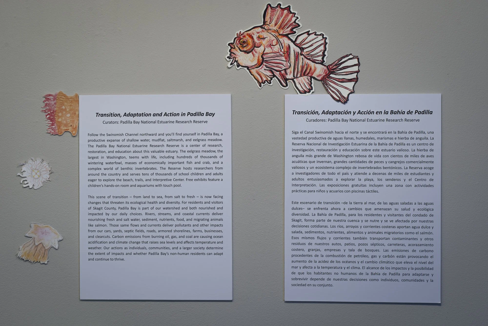 Outside In — Museum of Northwest Art