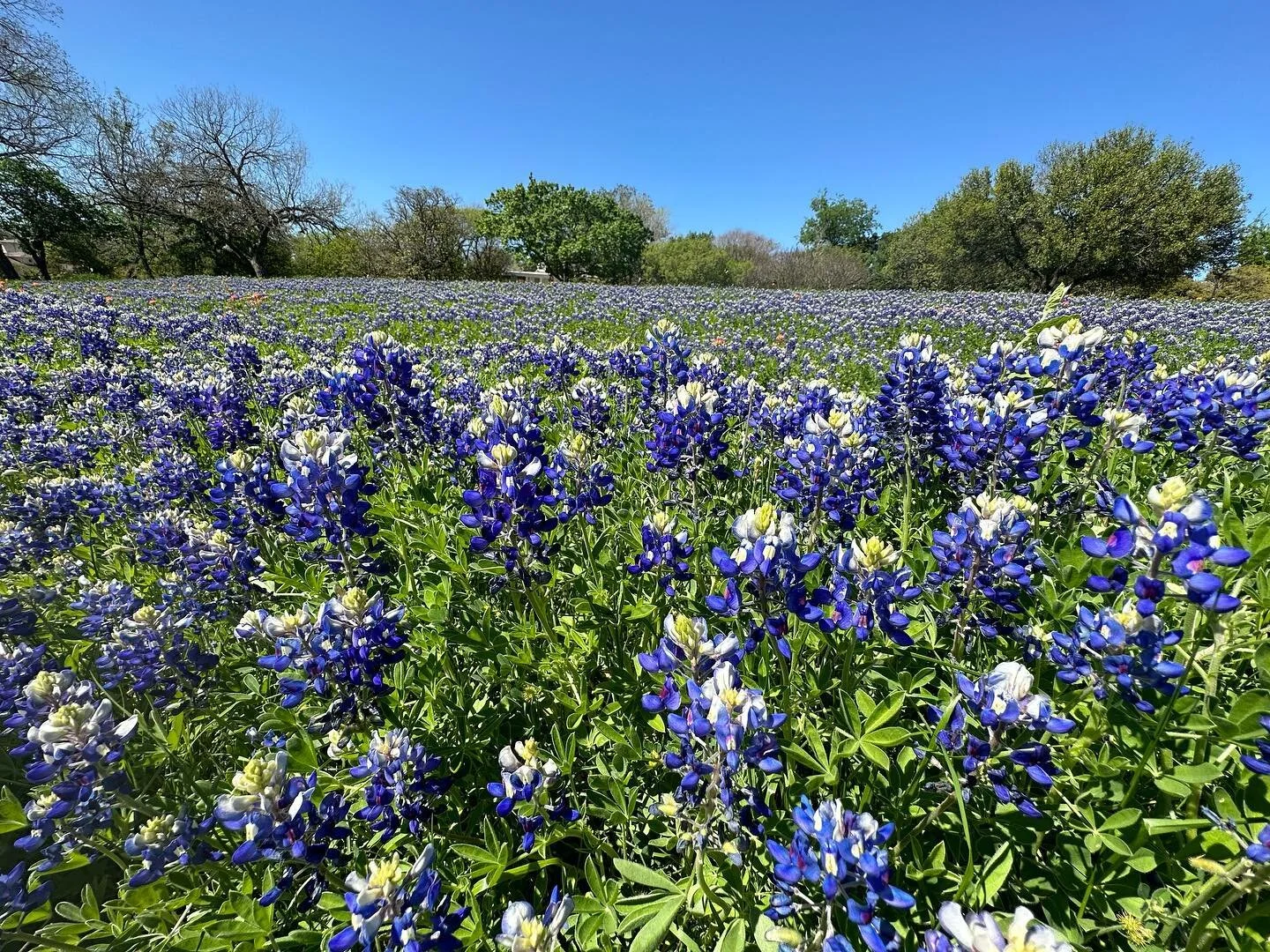 Type I and Type II Fun: The Fun Scale of Adventure — Attempt Adventure ...