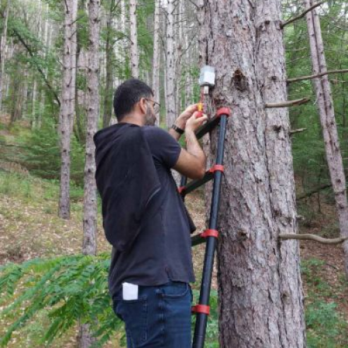 LoRaWAN® Early Forest Fire Detection System at Florina, Greece — CyRIC IoT