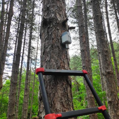 LoRaWAN® Early Forest Fire Detection System at Florina, Greece — CyRIC IoT