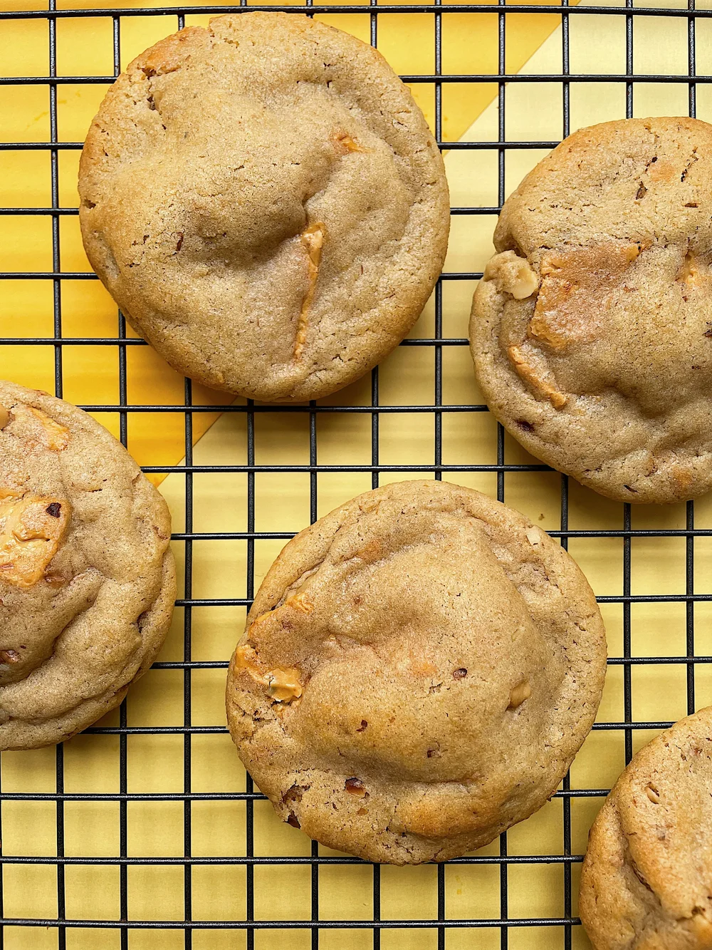 Krümel - Cookies & Crumbs | Order Your Cookies