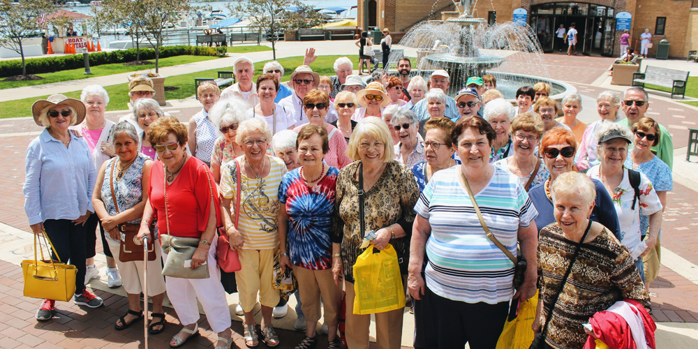 Programs for Seniors — Irish Community Services