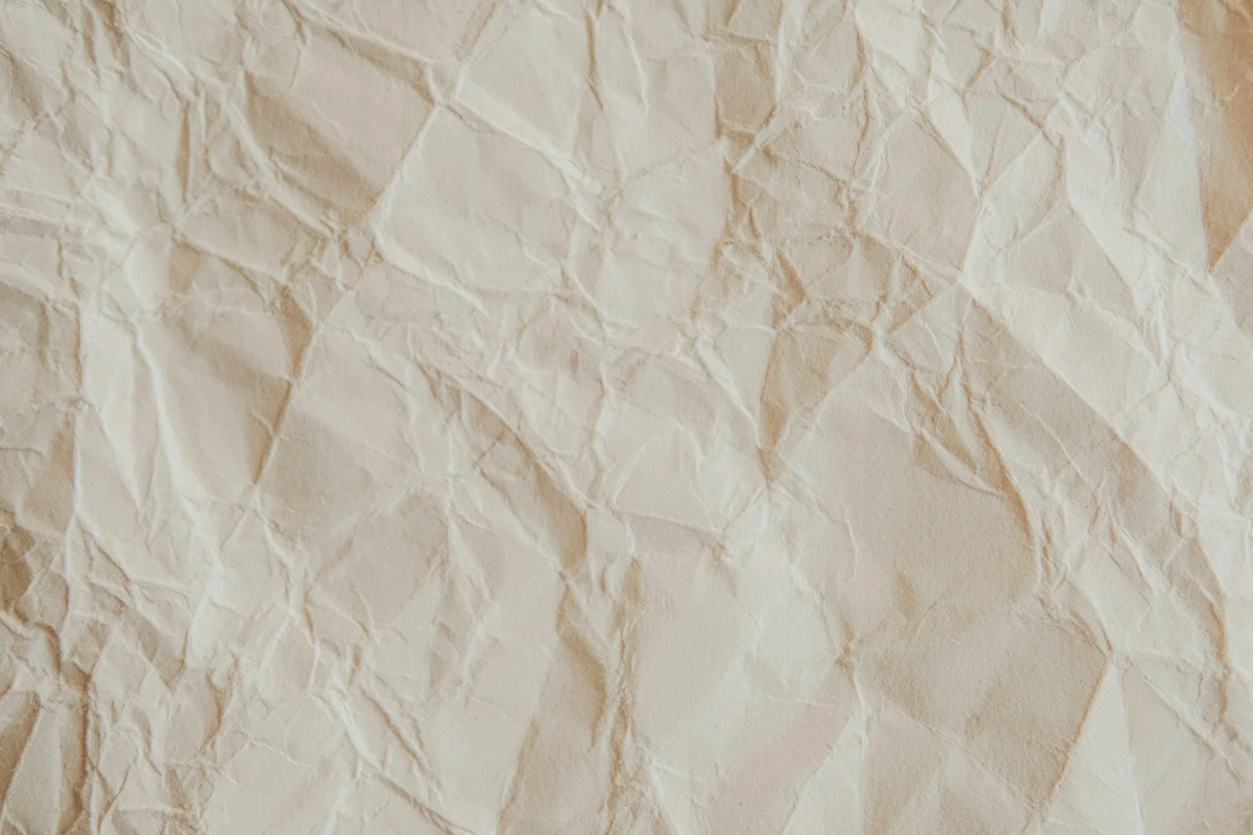 Leadership Bootcamp — Well Built Construction Consulting