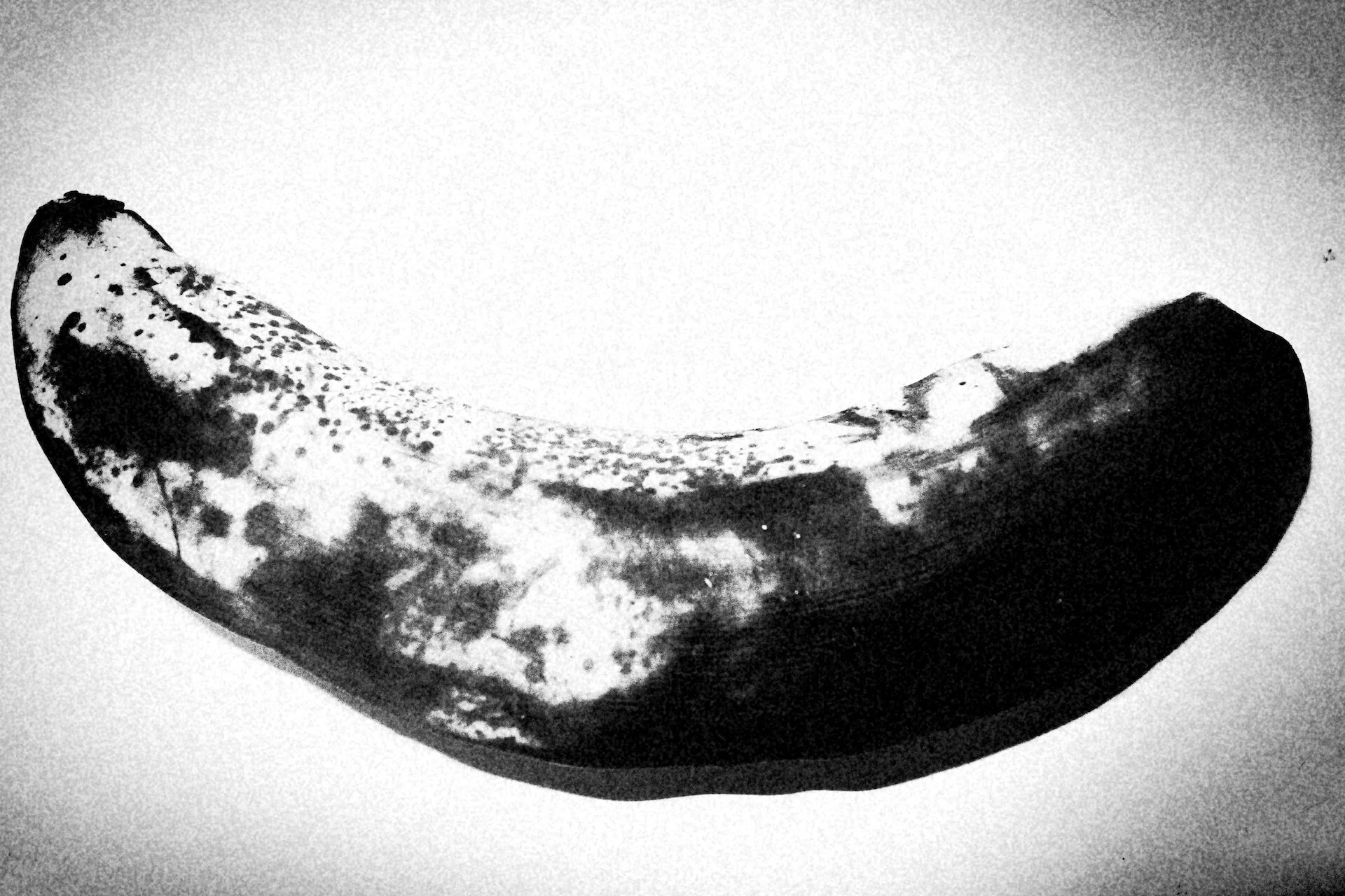 The cities are sexual, Moriyama, Japan, Mexico and vision — ALEX COGHE STREET PHOTOGRAPHER Alex ...