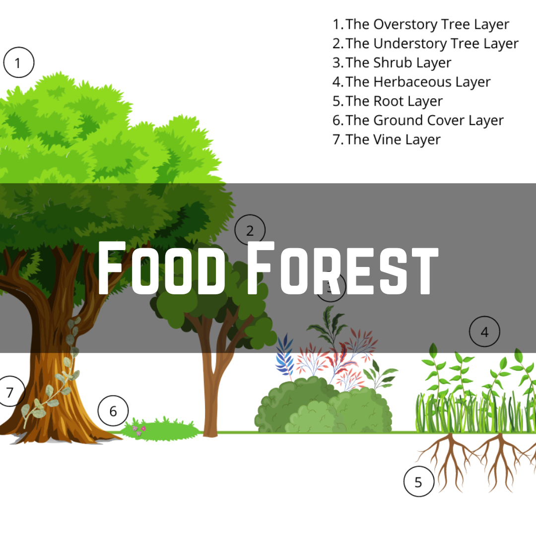 Regenerative Agriculture Resources for Beginner Farmers — Regenerative ...