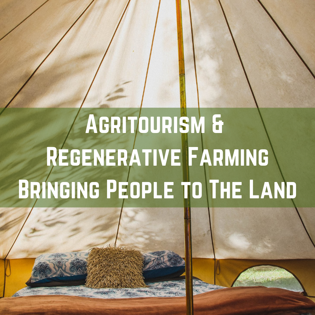 Regenerative Farming | What is it and how can it save the planet ...