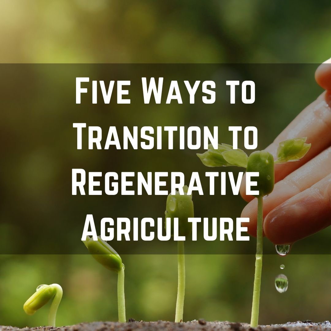 Regenerative Farmers of America Blog — Regenerative Farmers of America