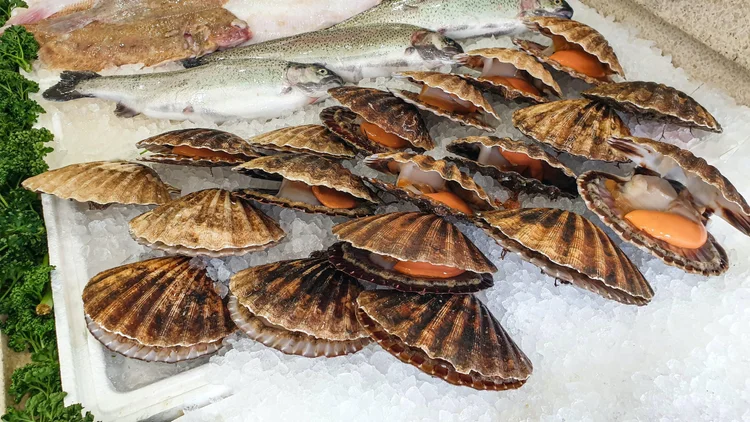 Regenerative Ocean Farming for a Healthier Planet — Regenerative ...