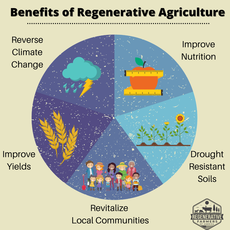 Regenerative Agriculture | What is it and how can it save the planet ...